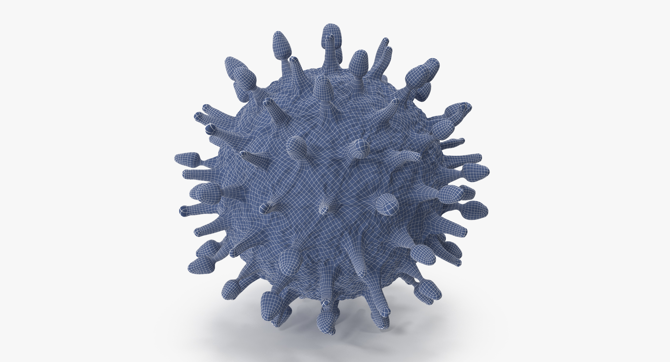 13 viruses virus 3d model