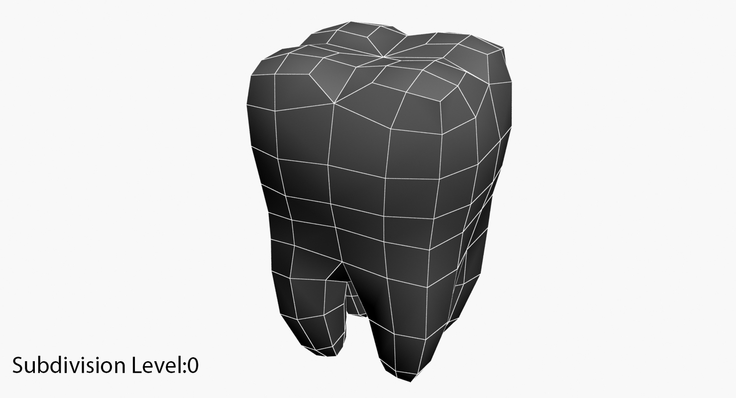 teeth 3d model