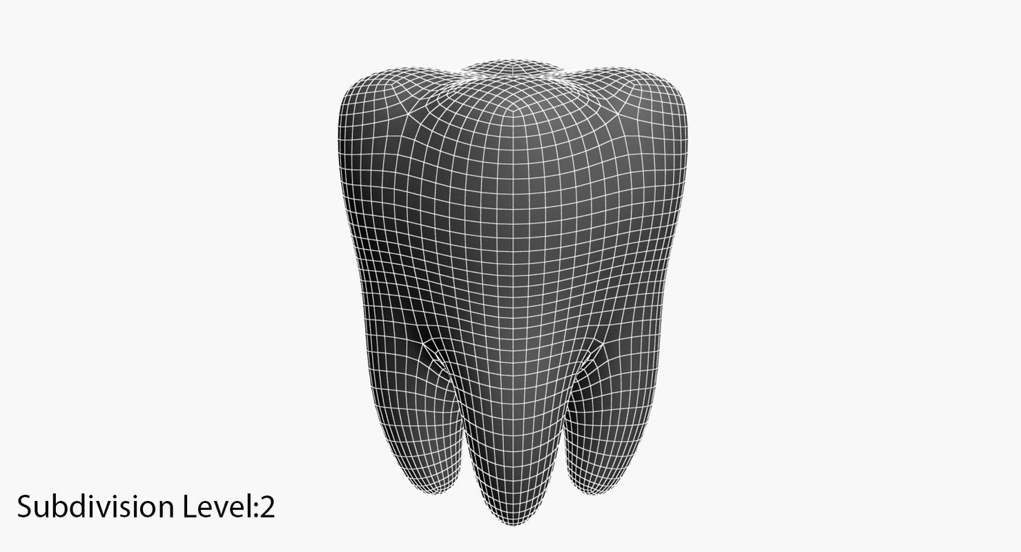 teeth 3d model