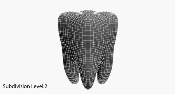 teeth 3d model