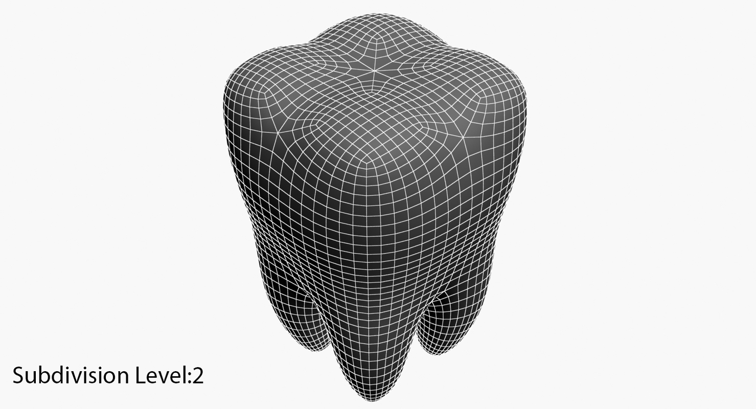 teeth 3d model