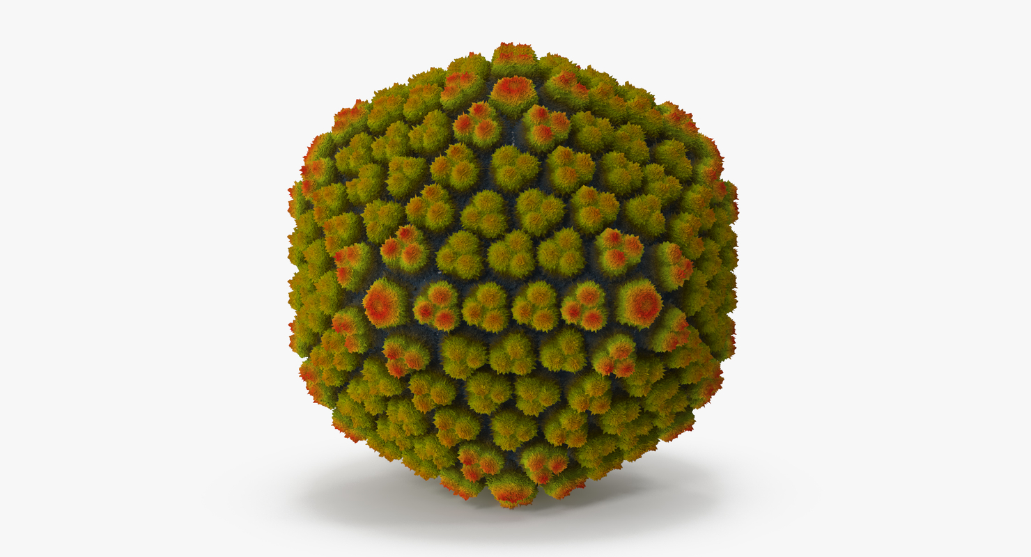 13 viruses virus 3d model
