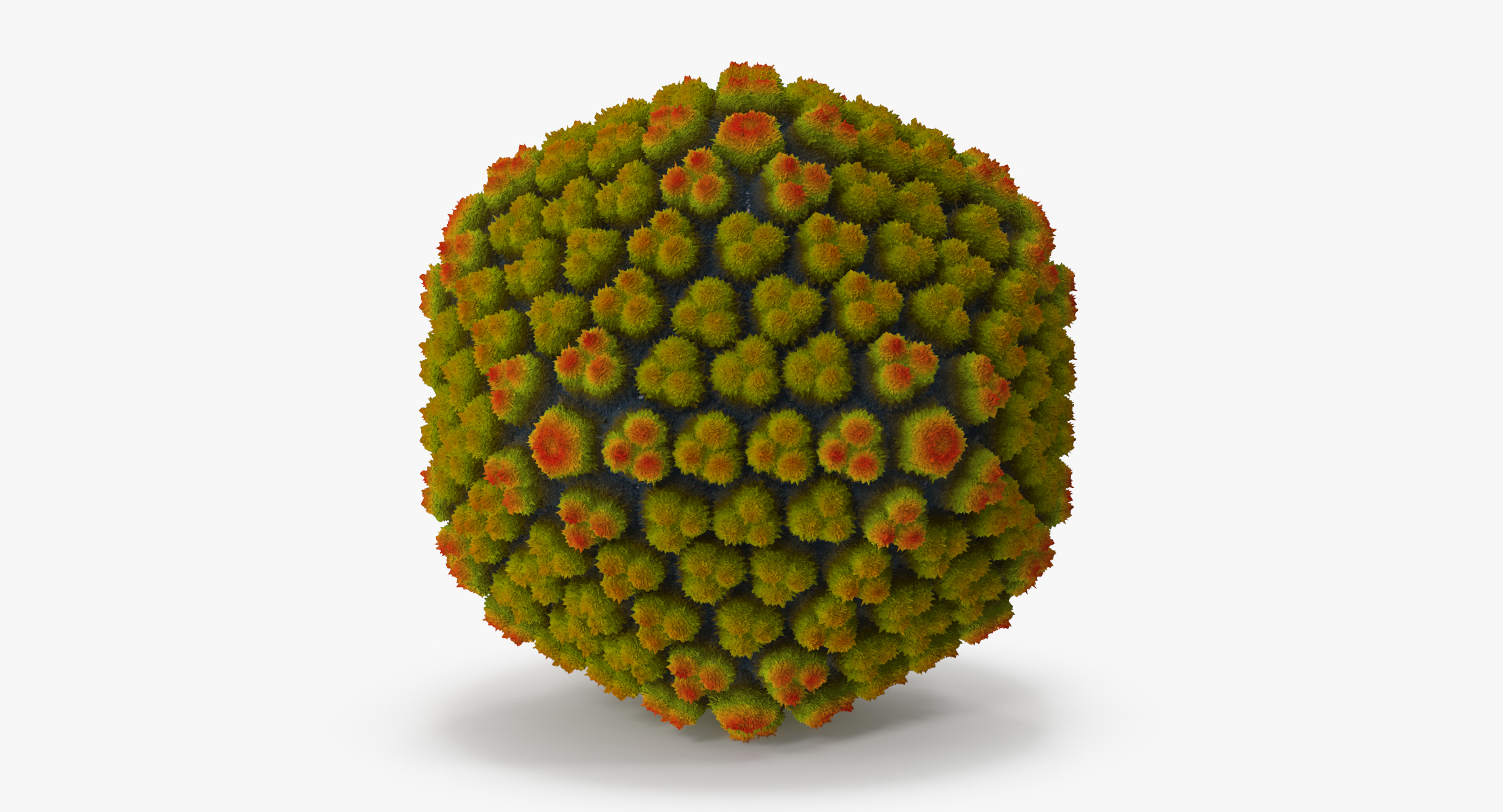 13 viruses virus 3d model