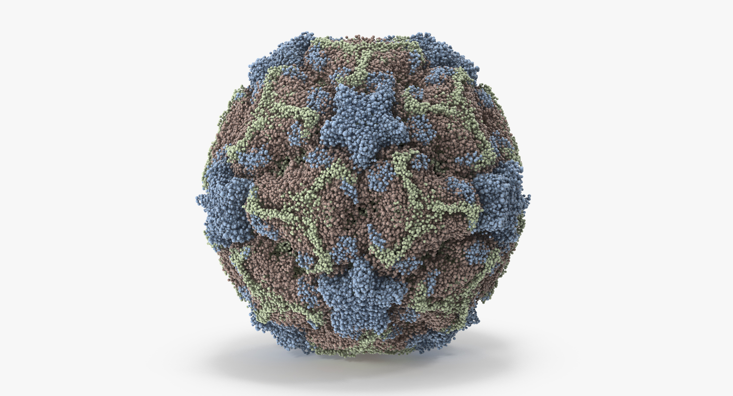 13 viruses virus 3d model