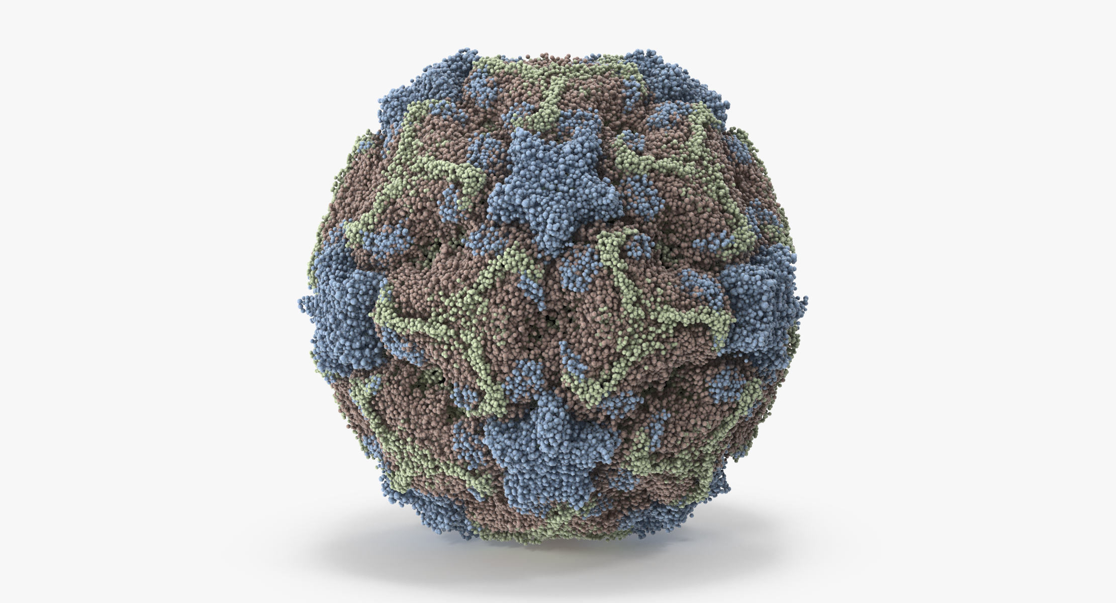 13 viruses virus 3d model