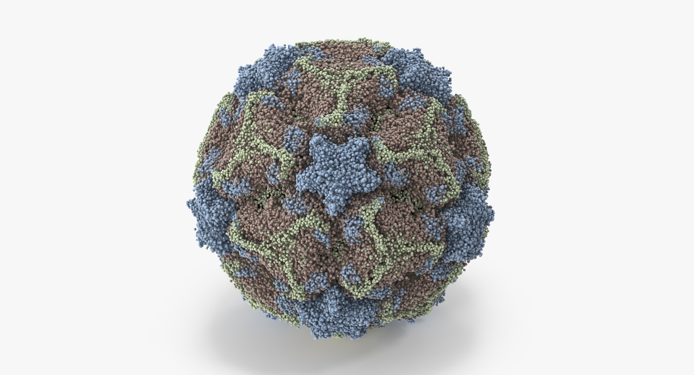 13 viruses virus 3d model