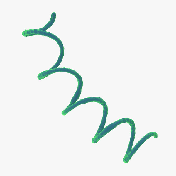 13 viruses virus 3d model