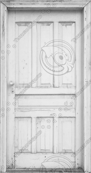 Texture JPEG texture white door