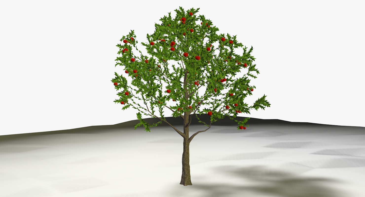 apple tree 3ds