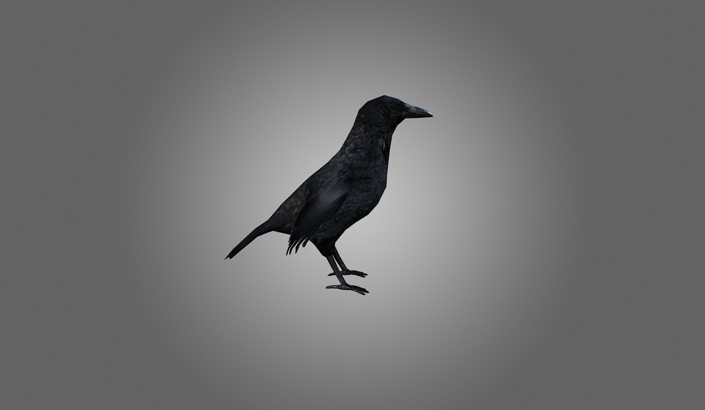 crow low-poly 3d 3ds