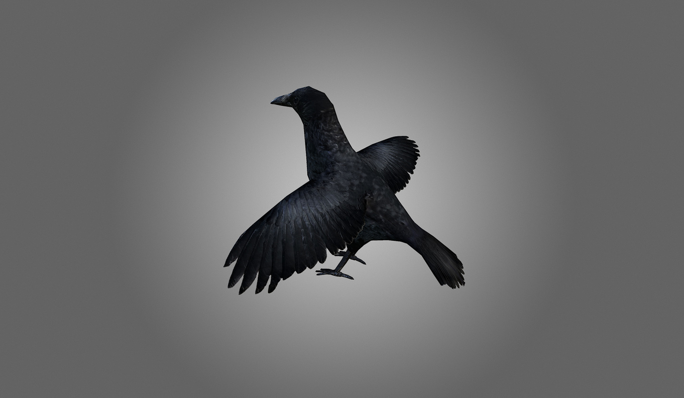 crow low-poly 3d 3ds