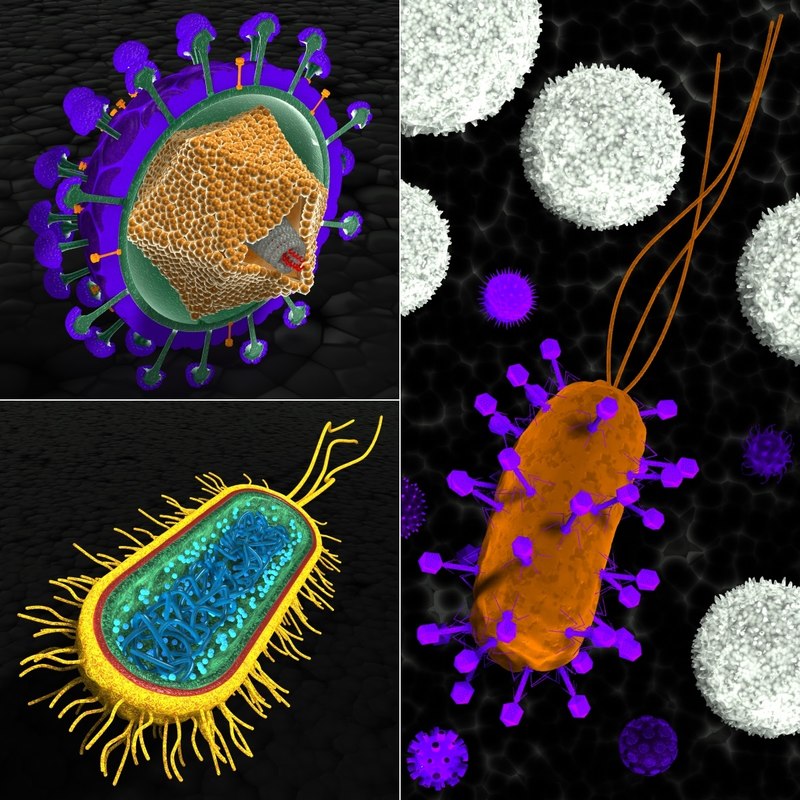 3ds viral objects virus