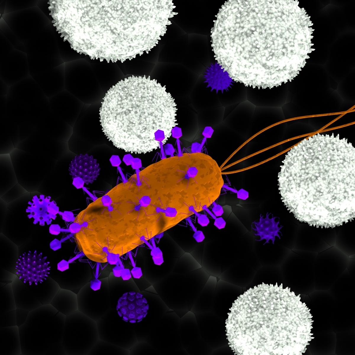 3ds viral objects virus