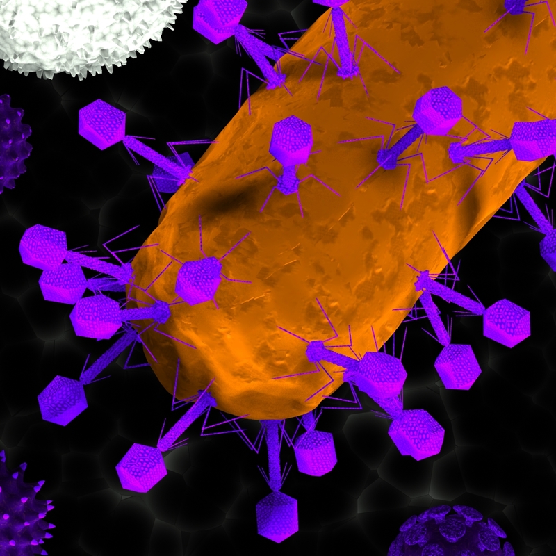 3ds viral objects virus