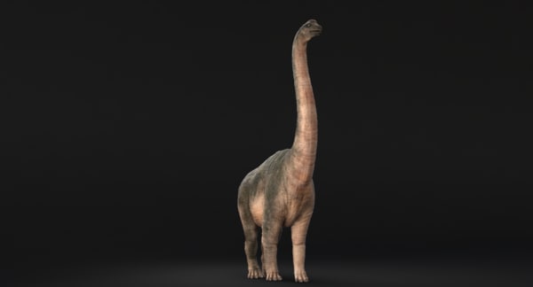 3d brachiosaurus rigged
