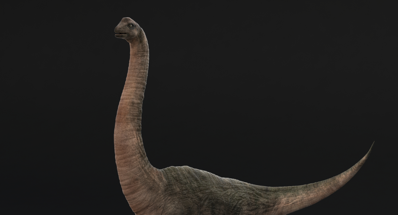 3d brachiosaurus rigged