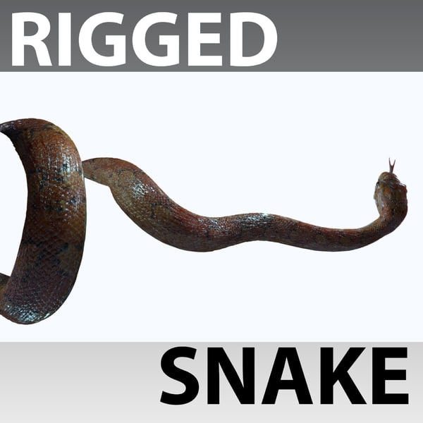 3D model green python snake rigged - TurboSquid 1417659
