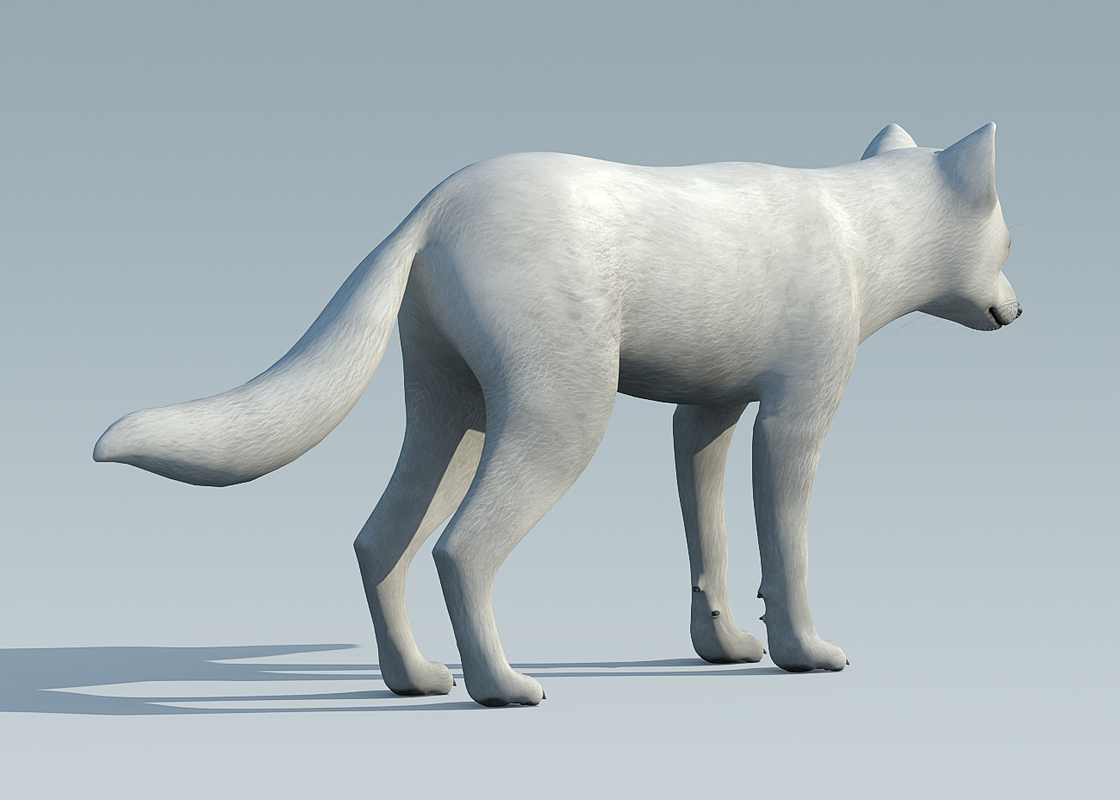 arctic fox 3d max