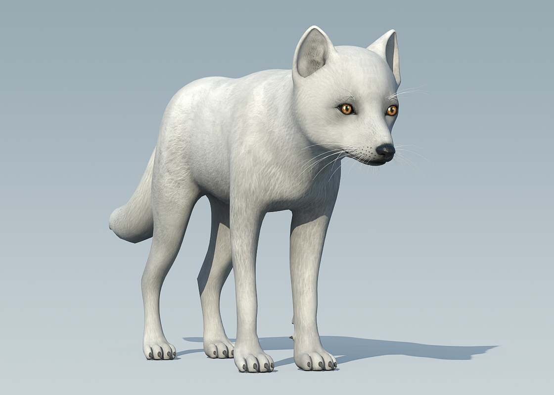 arctic fox 3d max