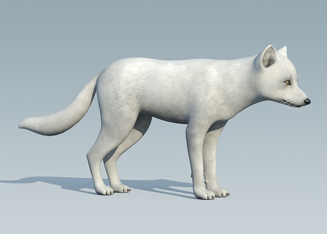 3d arctic fox rigged