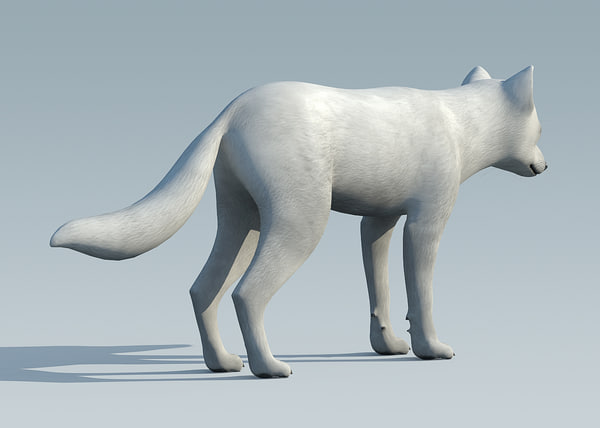 3d arctic fox rigged