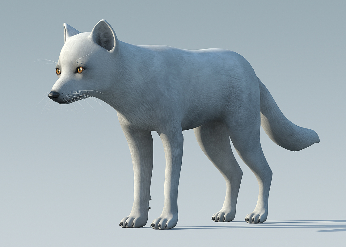 3d arctic fox rigged