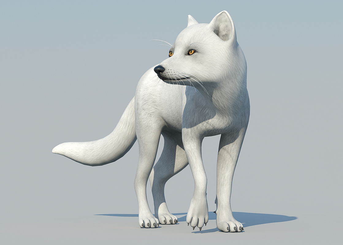 3d arctic fox rigged