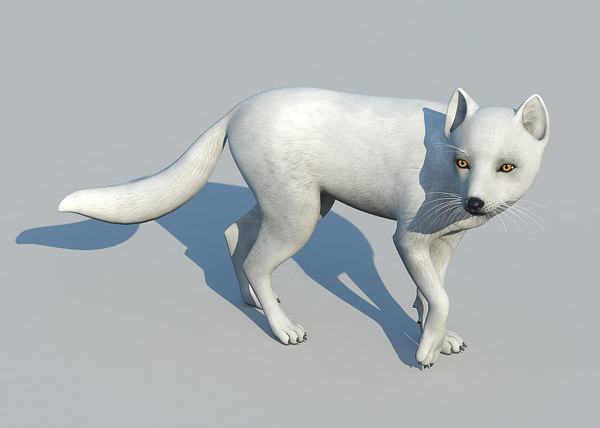 3d arctic fox rigged