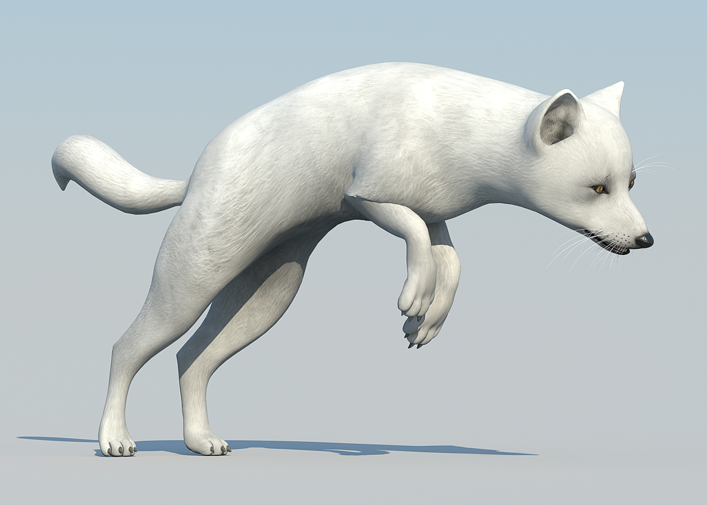 3d arctic fox rigged