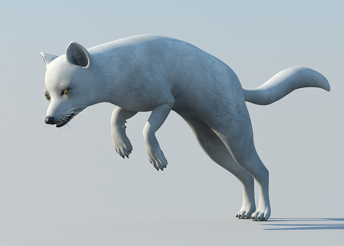3d arctic fox rigged
