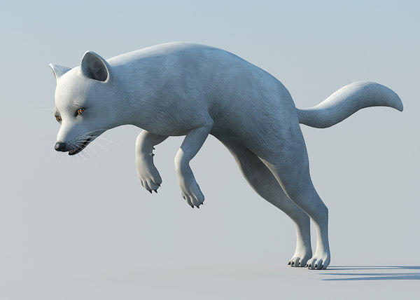 3d arctic fox rigged