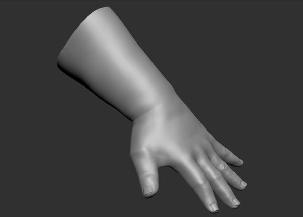 beauty child hand 3d model