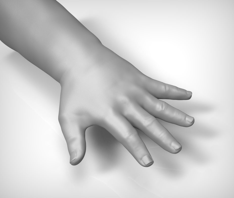 beauty child hand 3d model