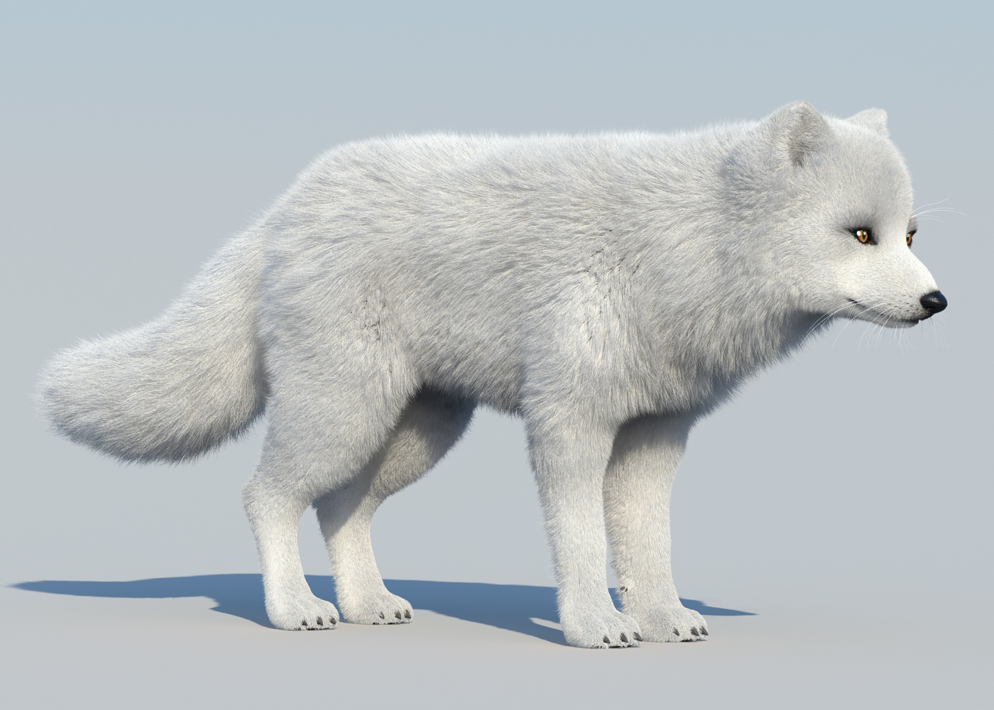 3d arctic fox fur model