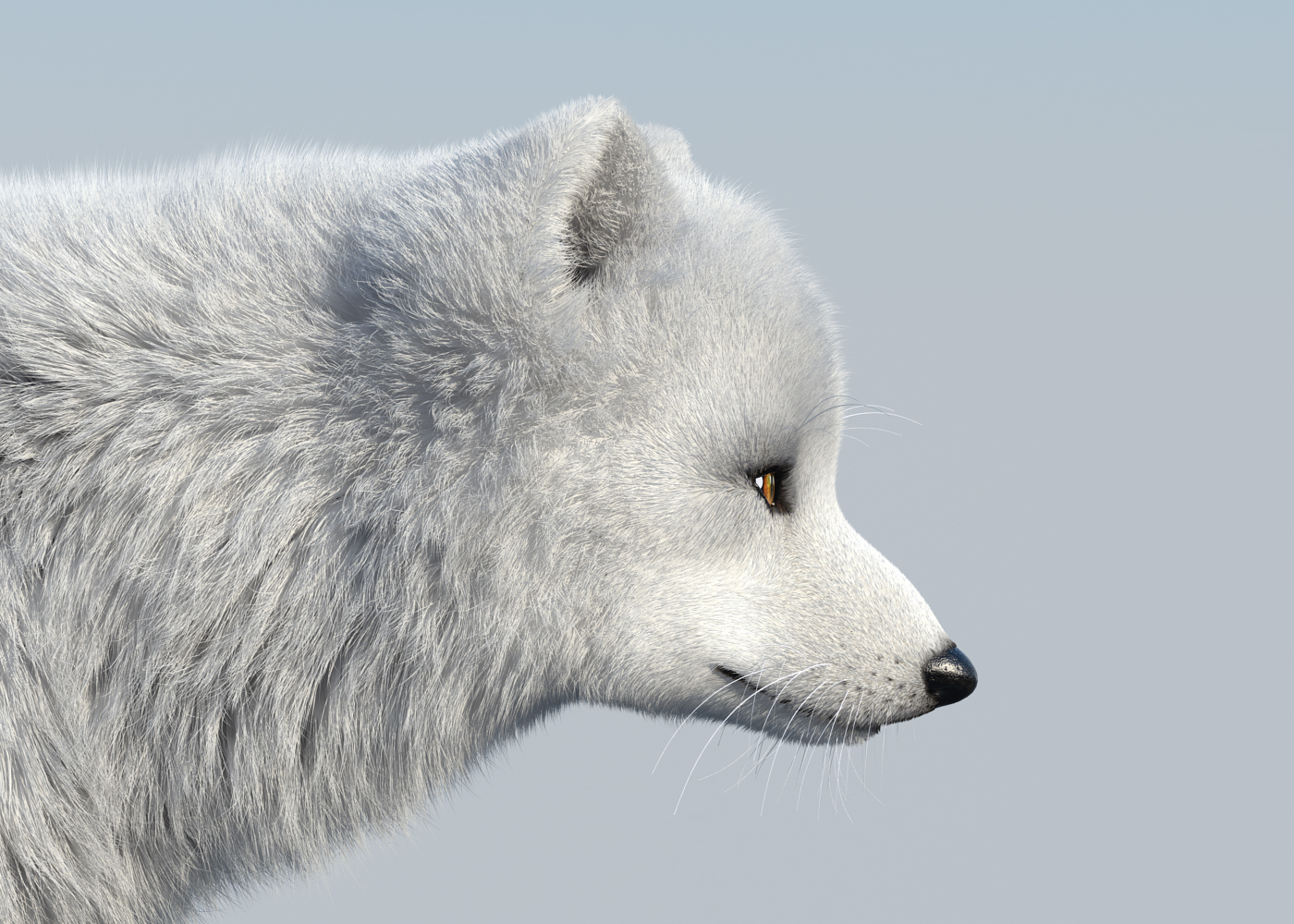3d arctic fox fur model