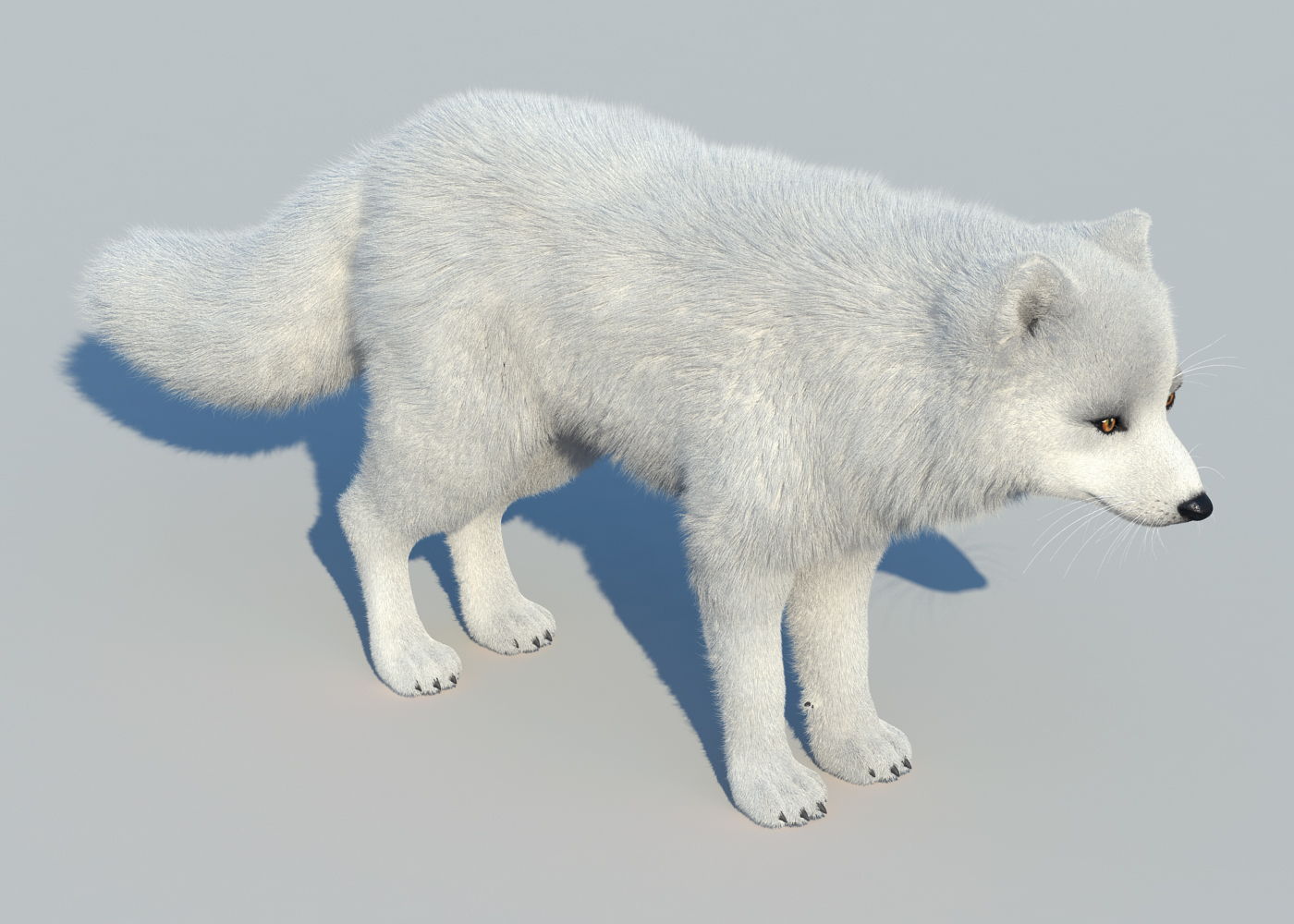 3d arctic fox fur model