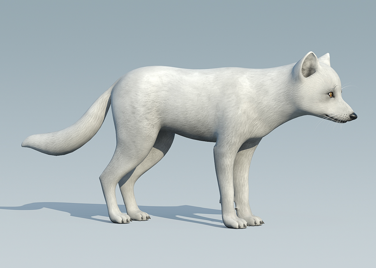 3d arctic fox fur model