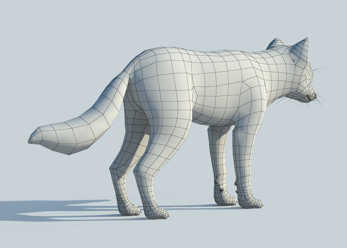 3d arctic fox fur model