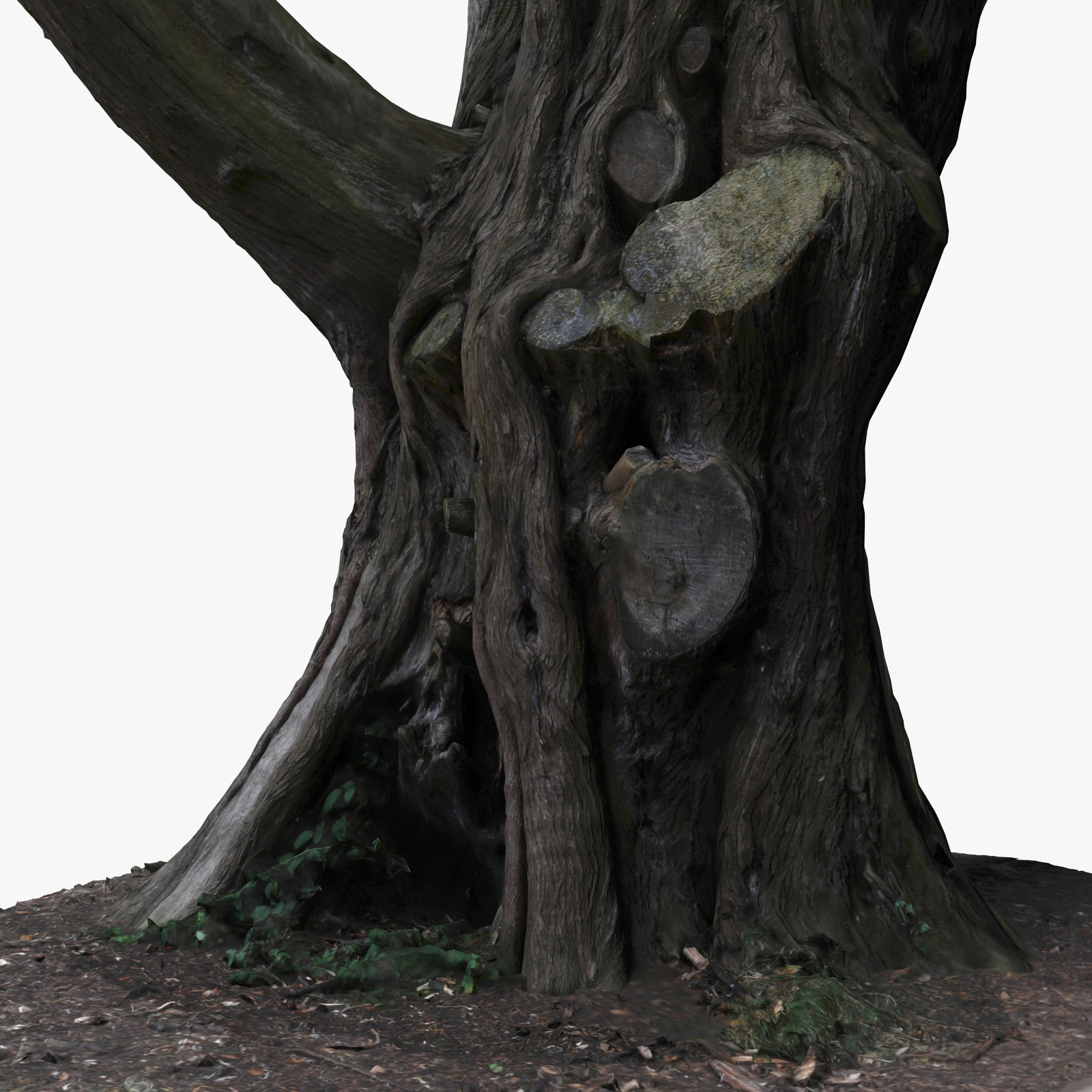 tree trunk dxf