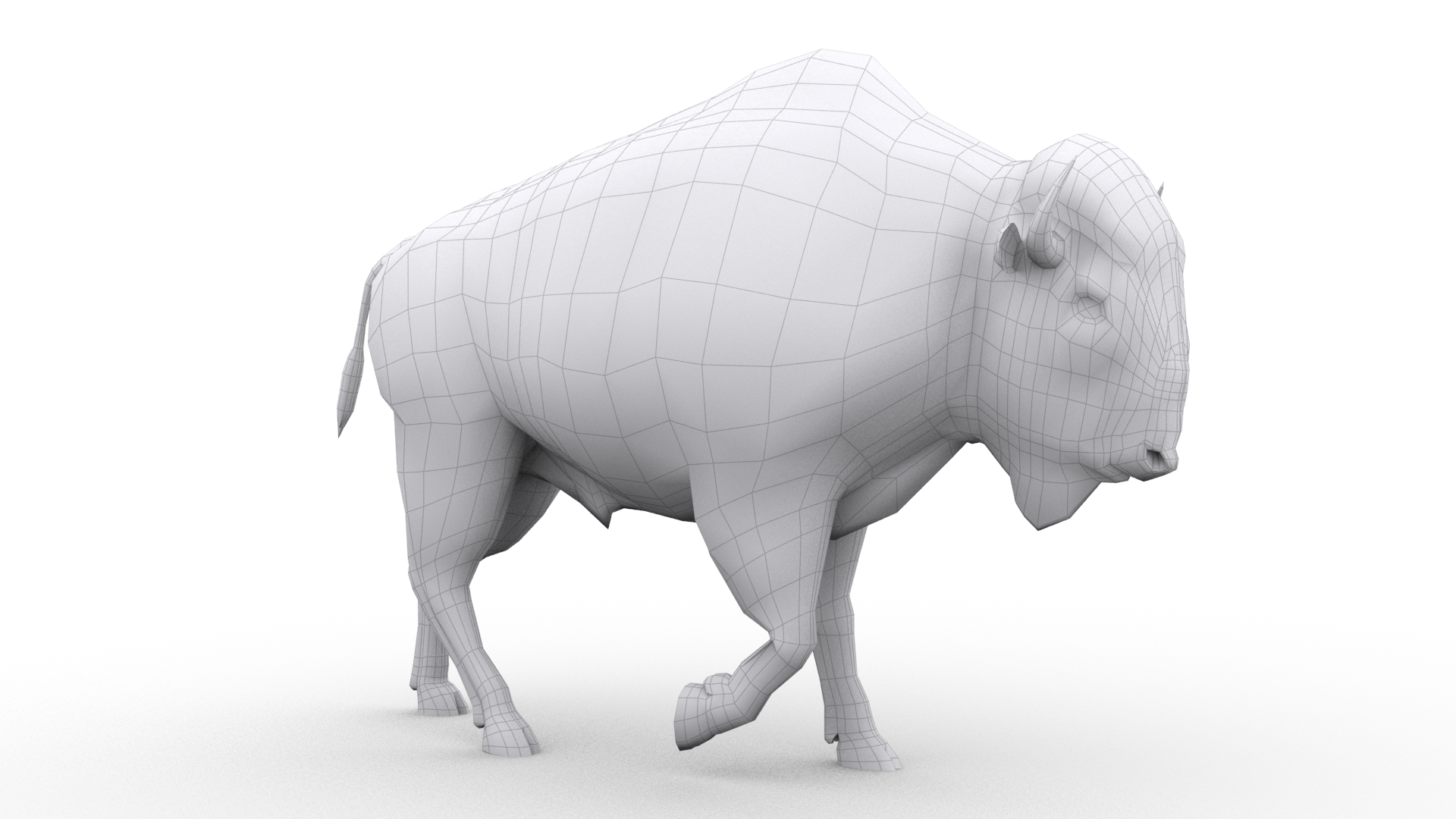 american buffalo animations 3d max