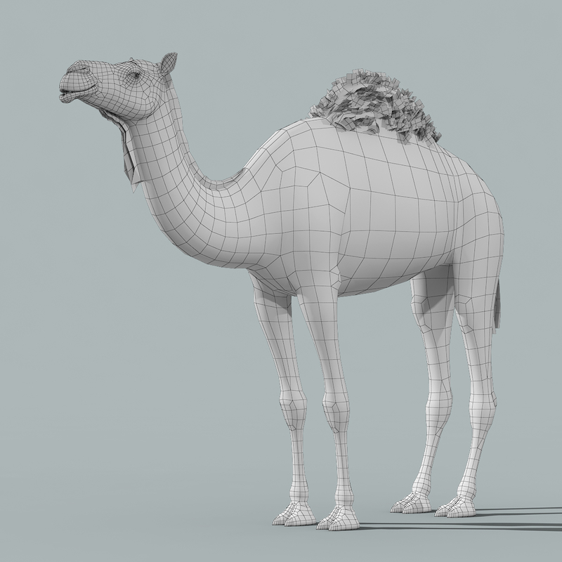 camel animation 3d max