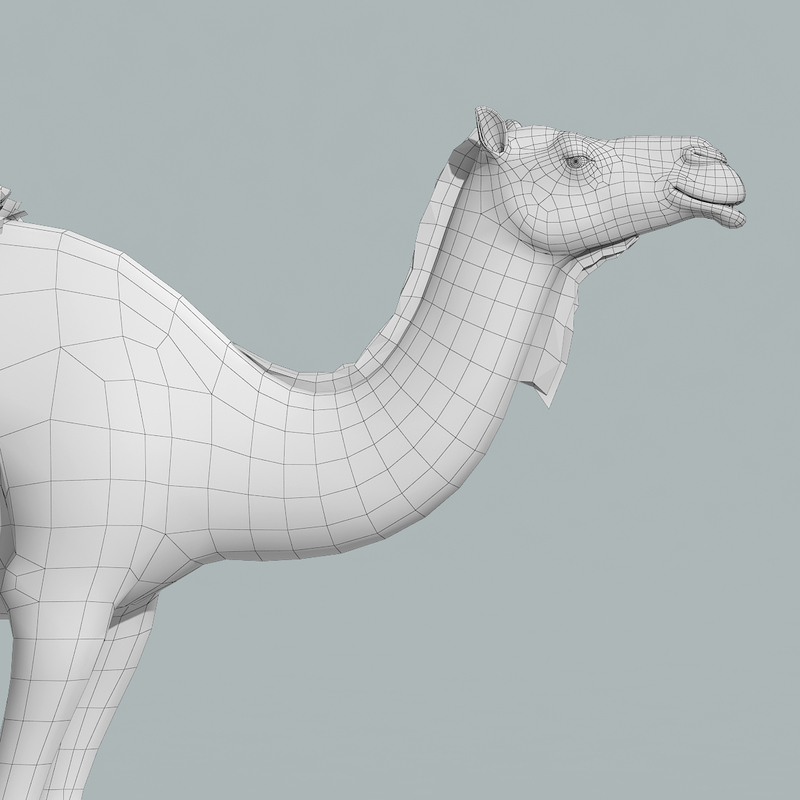 camel animation 3d max