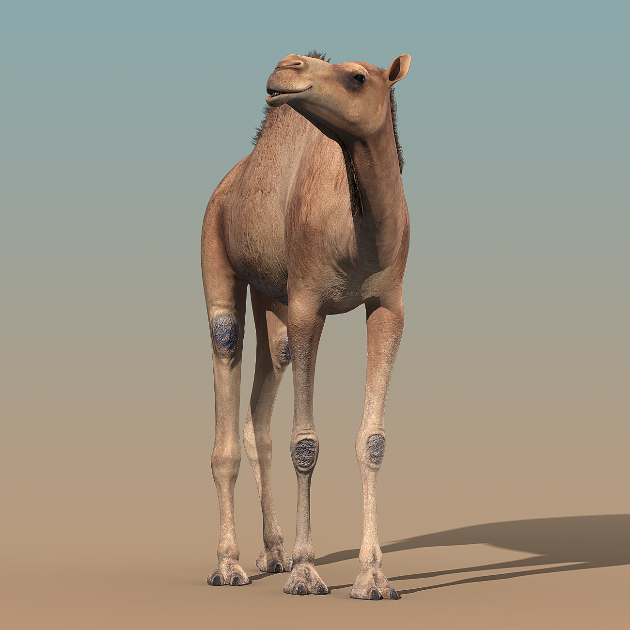 camel animation 3d max