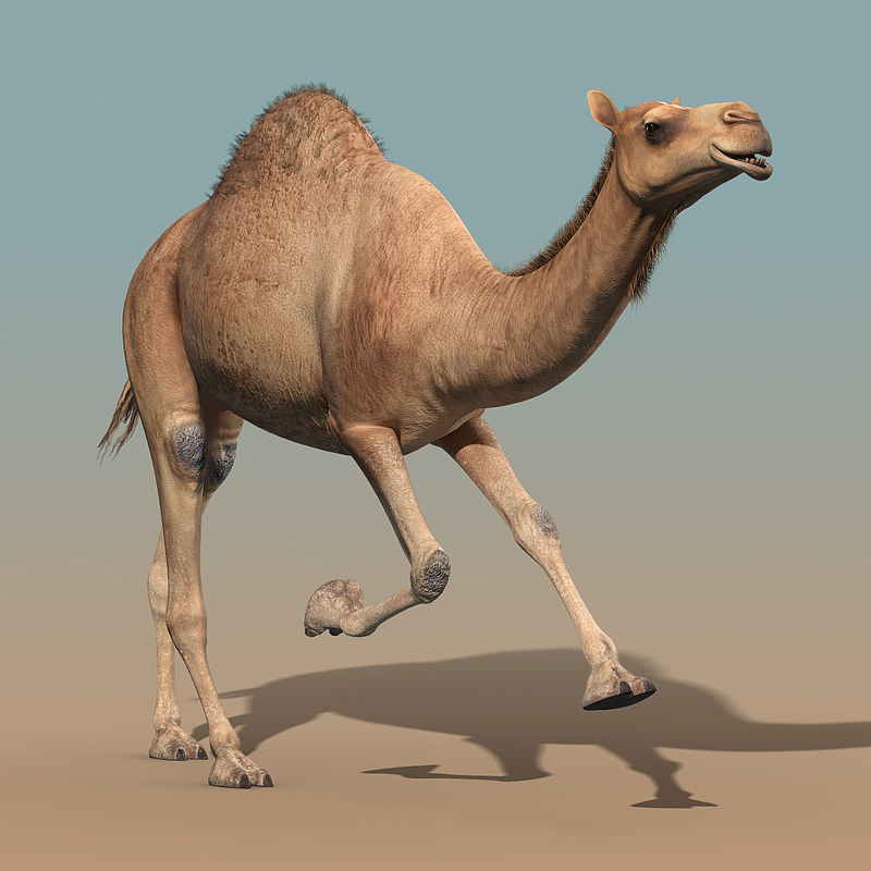 camel animation 3d max