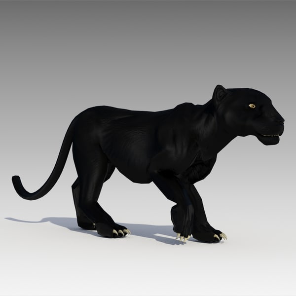 3d black panther animation