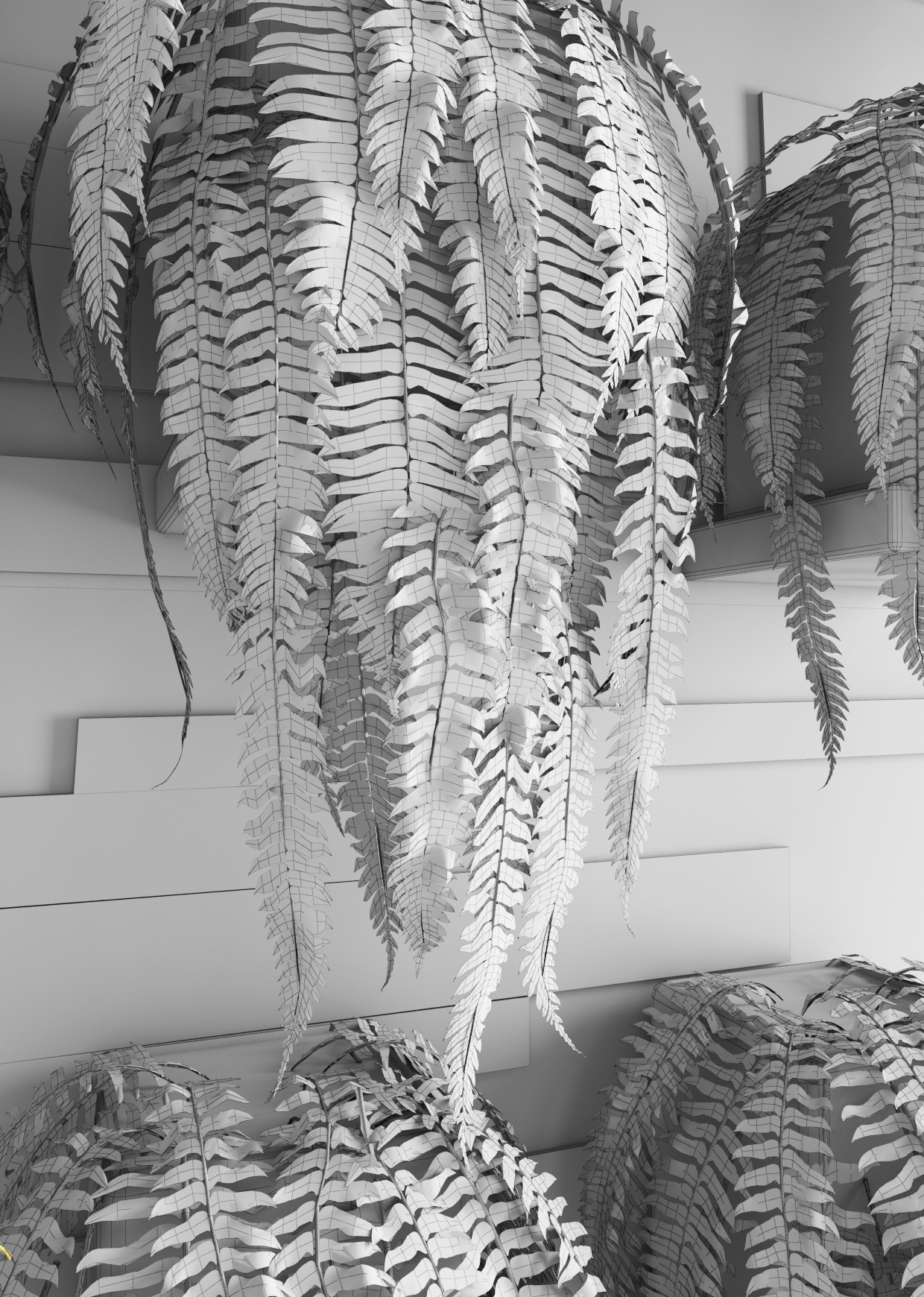 fern 3d model