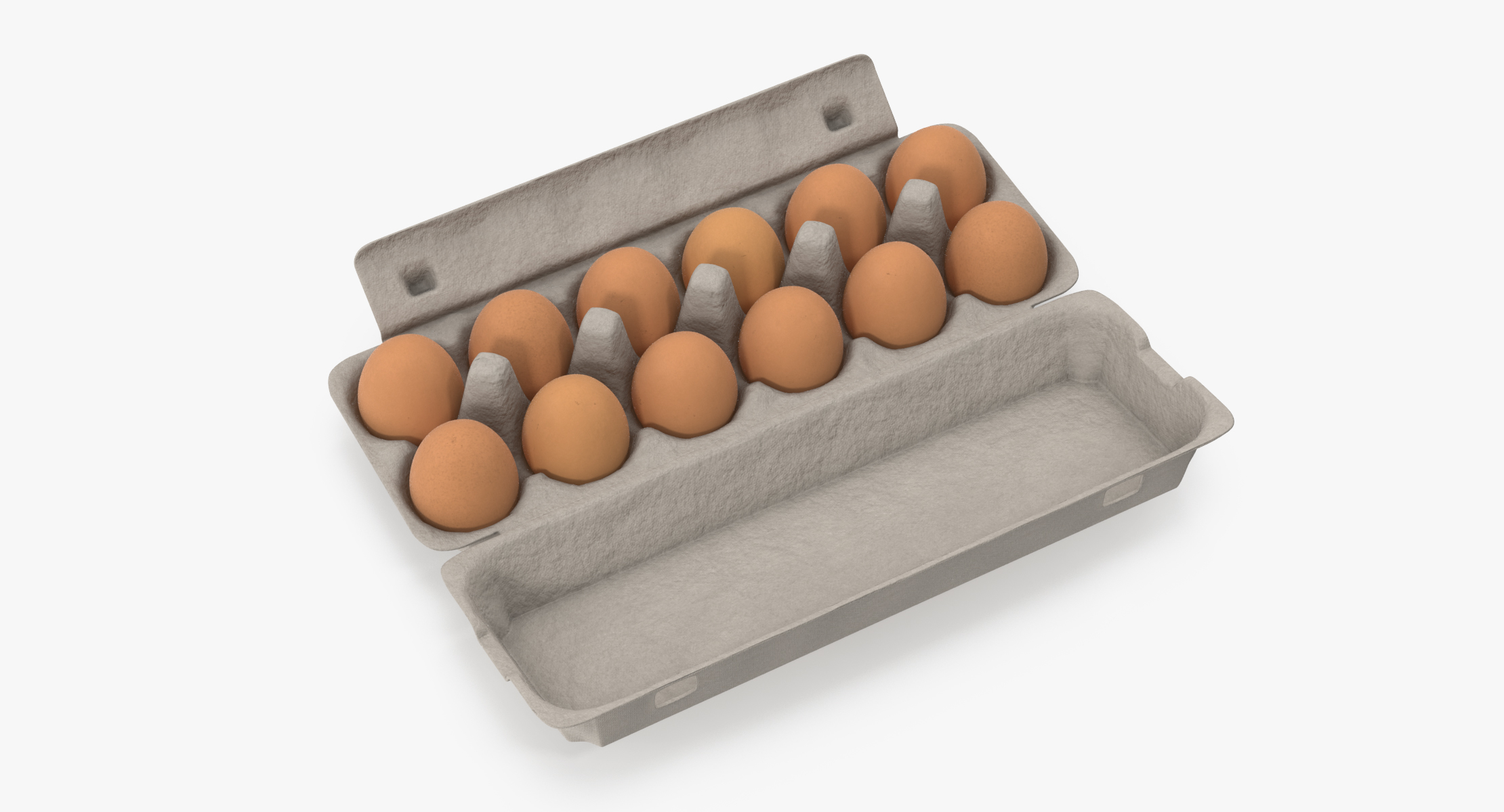 max egg container 01 open