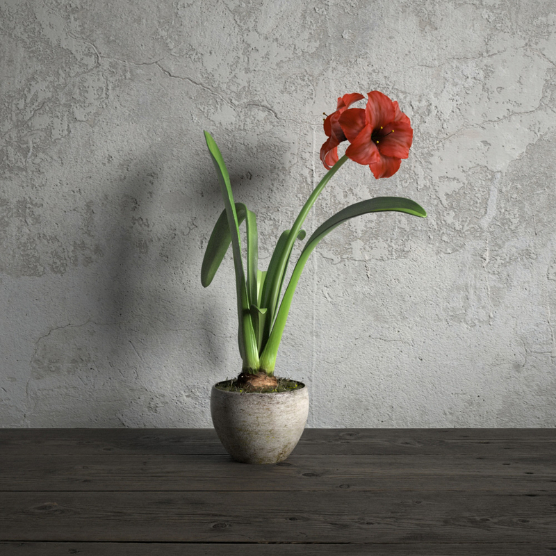 archmodels vol 173 flowers 3d max