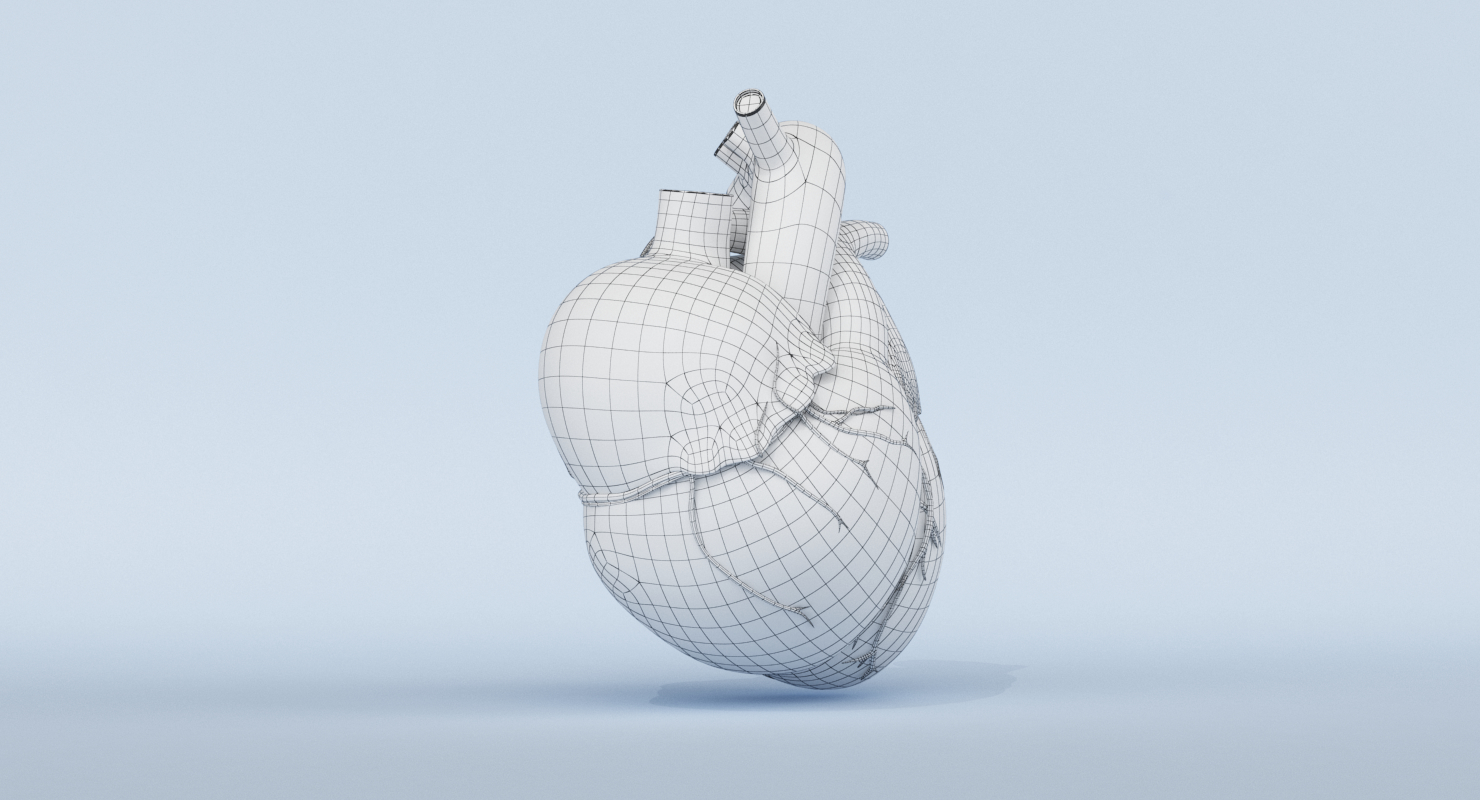 3d heart