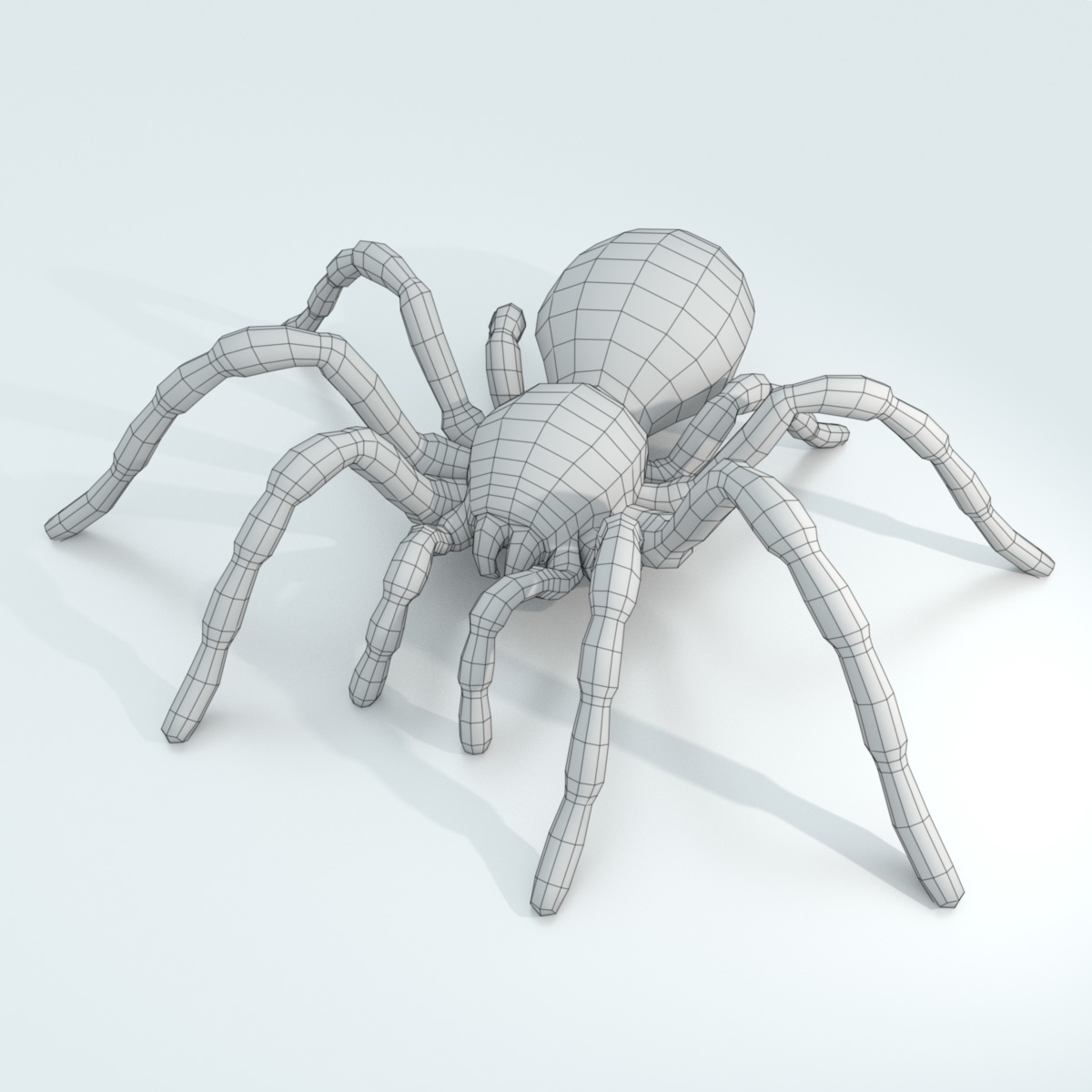 base mesh tarantula spider fbx